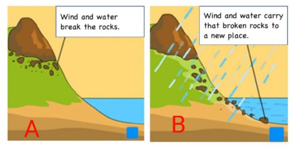 Weathering and erosion quiz 1 – Teachgy worksheets