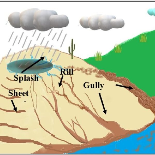 Weathering and erosion quiz 1 – Teachgy worksheets