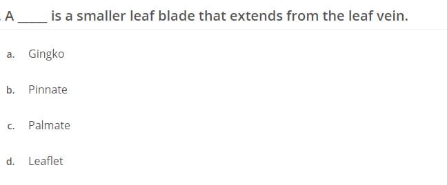 types of Leaves: Structure & Arrangement – Teachgy worksheets