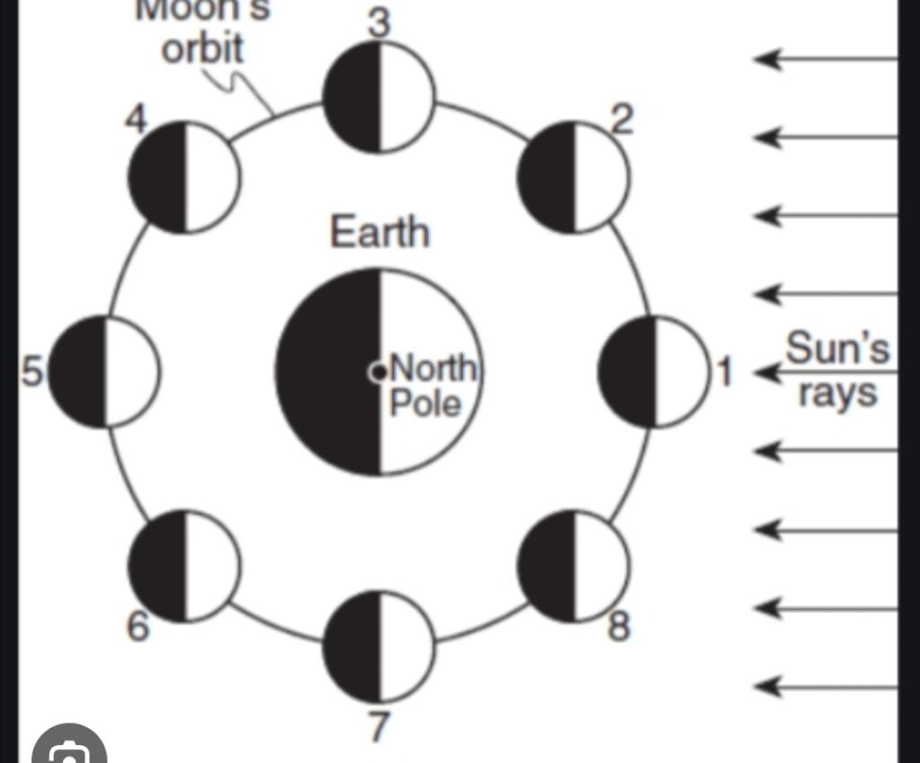 Phases of the moon quiz 1 – Teachgy worksheets